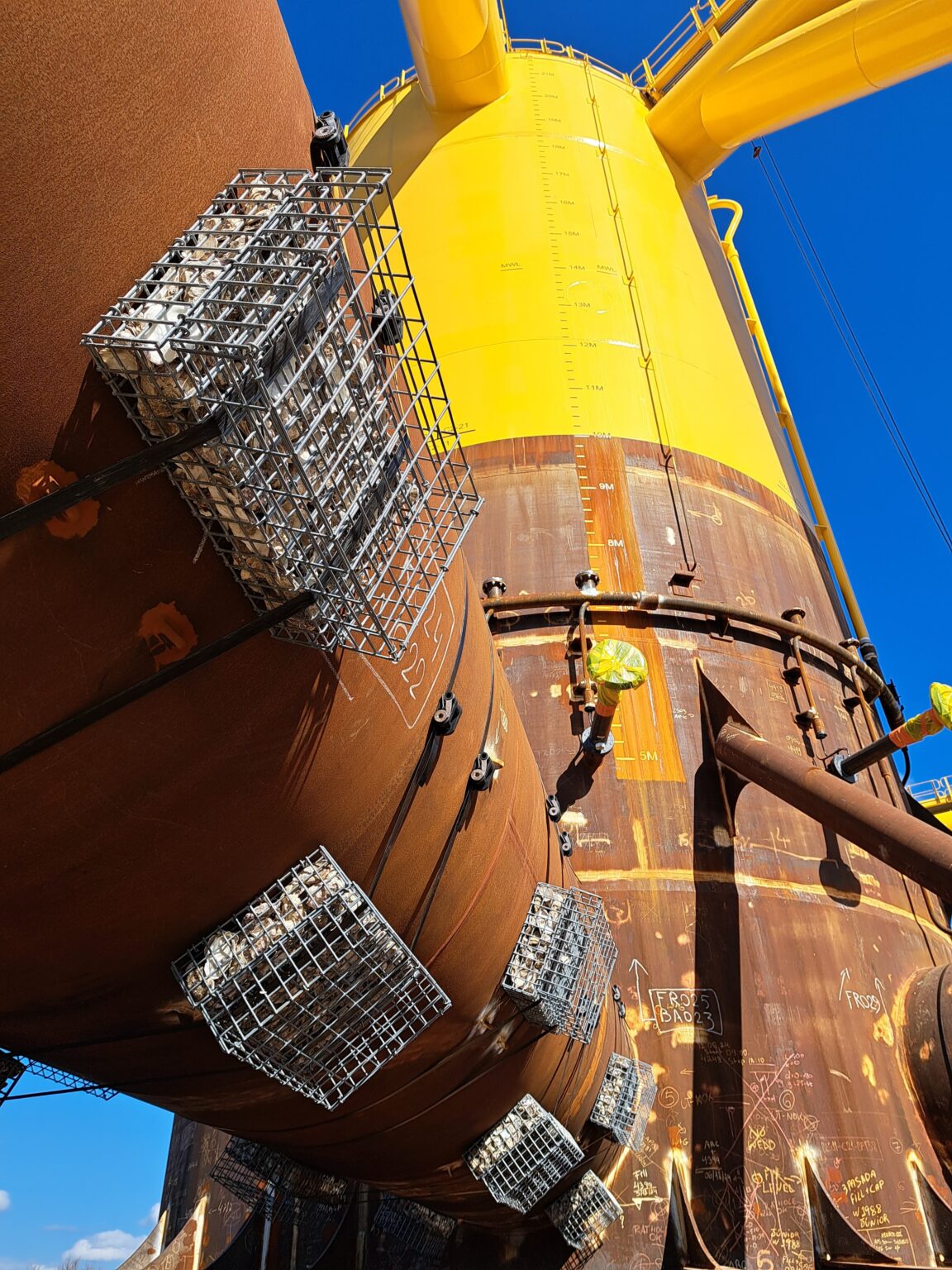 Ocean Winds celebrates the installation of Biohuts© at its EFGL project ...