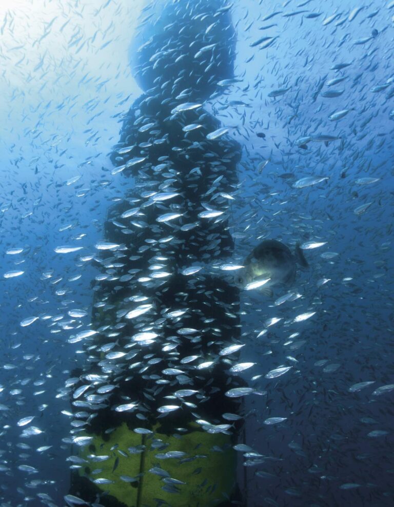 Ocean Winds in France - Ocean Winds